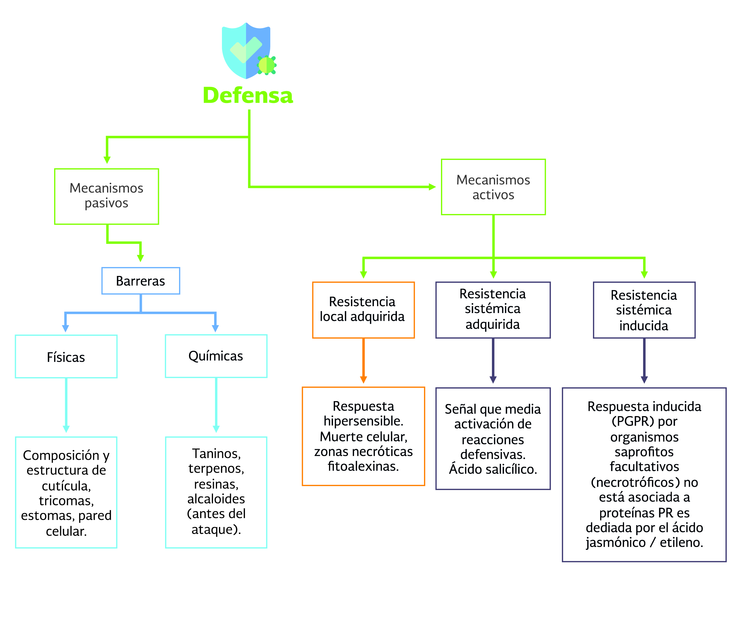 Agroenzymas/Blog